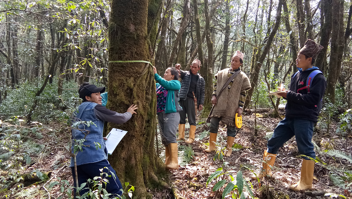 KTK-Belt – OtterFonds