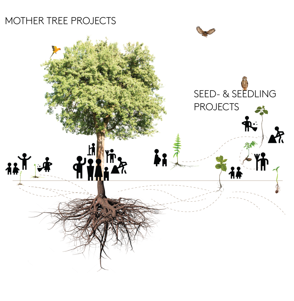 Our Approach – OtterFonds